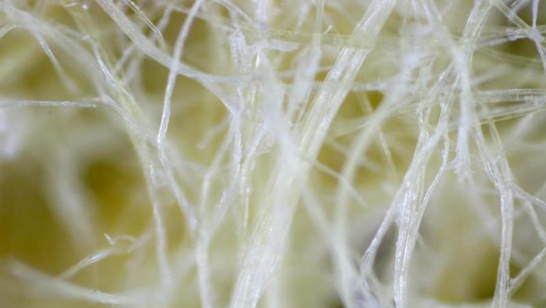 MECS® Brink® Mist Eliminator Services: Fiber Sampling, Mist Sampling ...